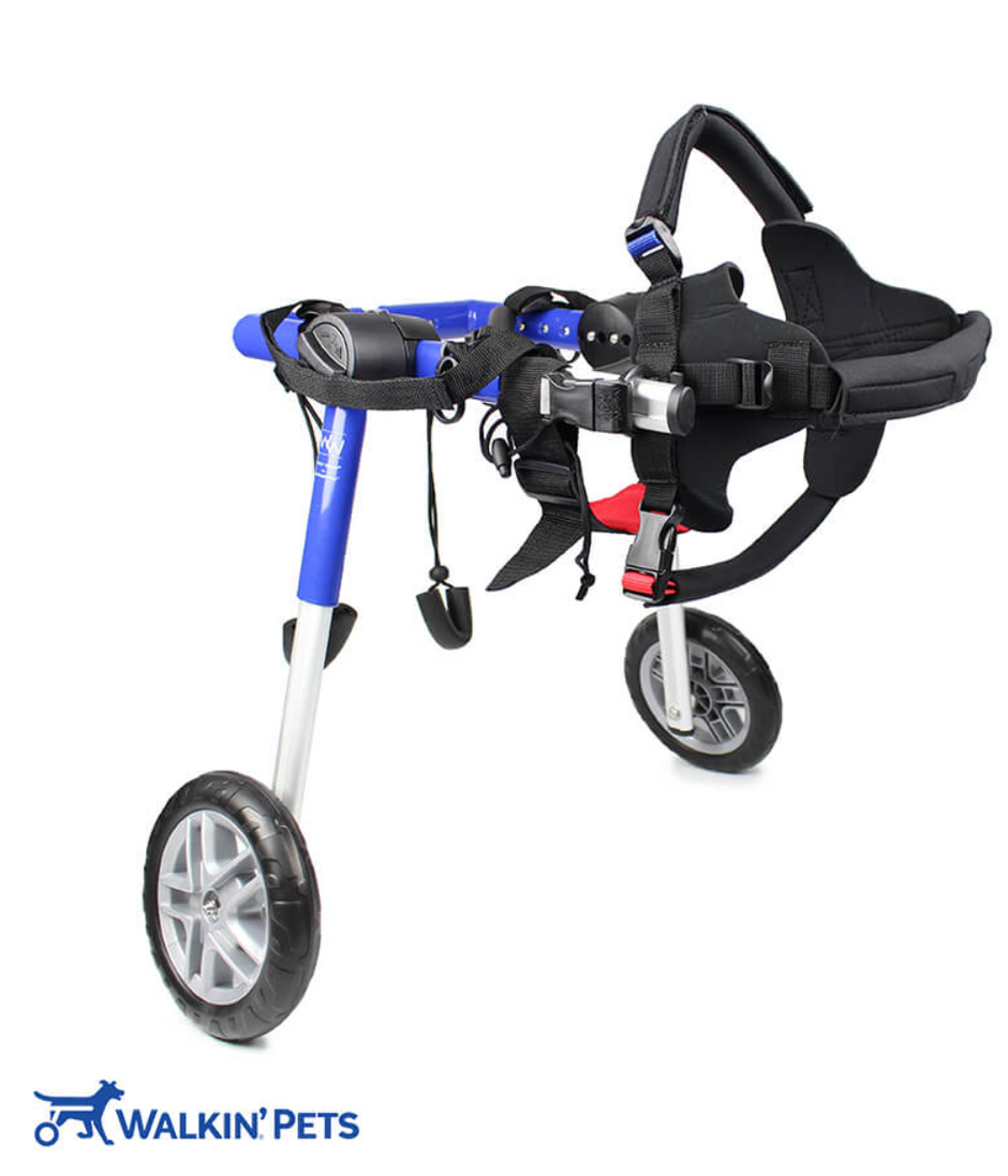 Wheels4Dogs | Dog Wheelchairs | Pet Mobility Aids