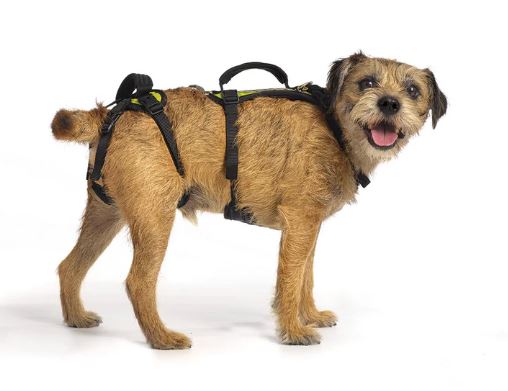 Help ‘Em Up Harness - Full Body Dog Harness – Wheels4Dogs