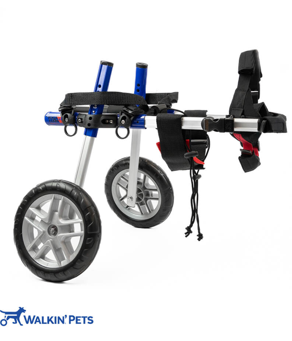 Wheels4Dogs | Dog Wheelchairs | Pet Mobility Aids