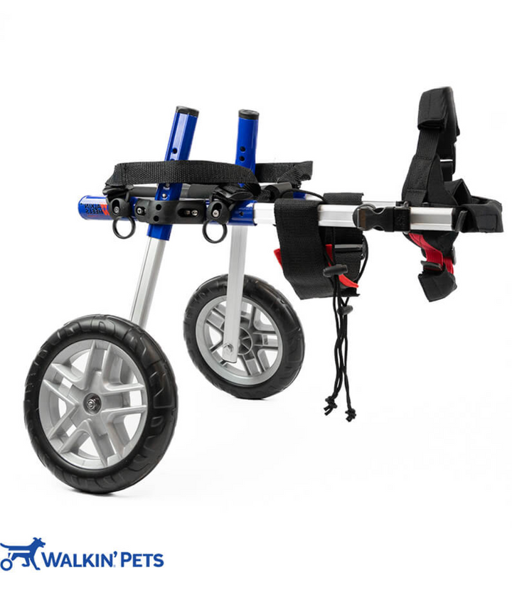 Wheels4Dogs | Dog Wheelchairs | Pet Mobility Aids